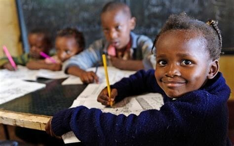 Unraveling Symptomatology: Tarentula cubensis vs Tarentula hispanica