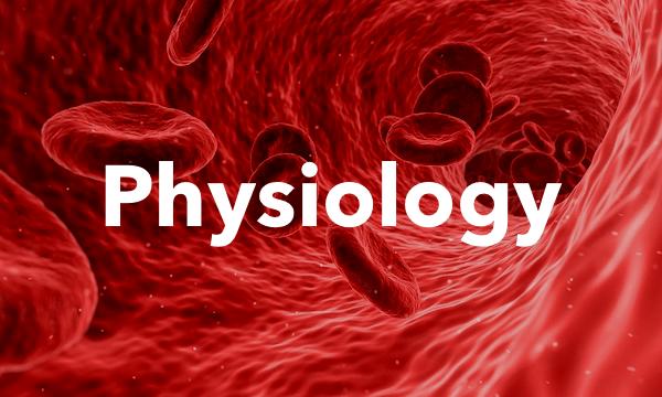Physiology & Biochemistry PowerPoint Presentations and Lectures